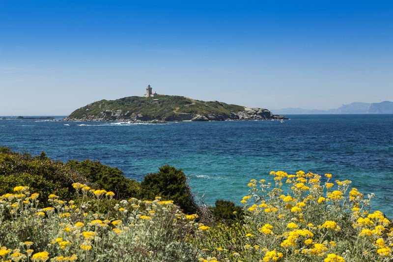 Ile des Embiez à Six-Fours-les-Plages mpmtourisme